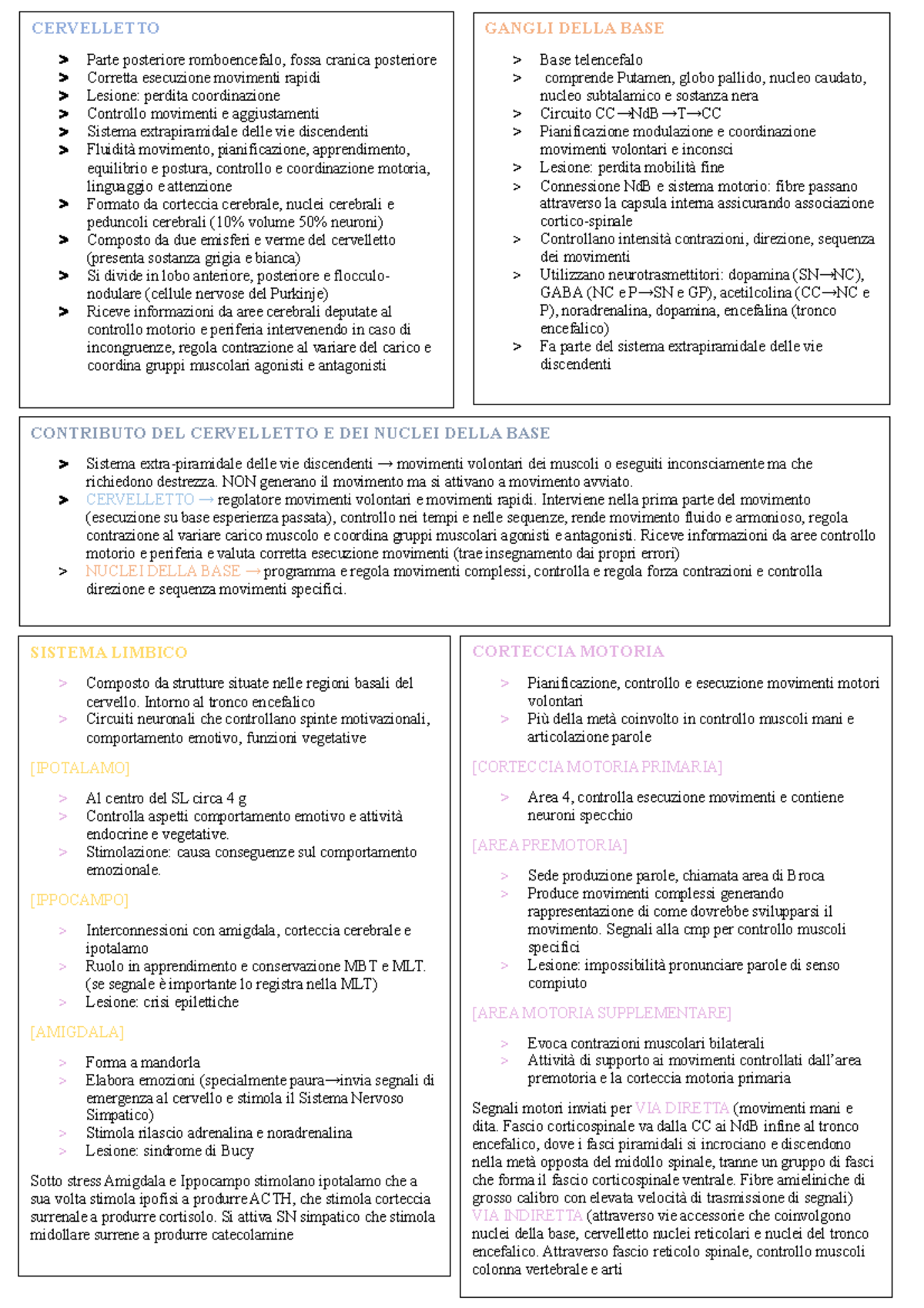 Punti BASE Fondamenti Fisiologia - CERVELLETTO Parte posteriore ...