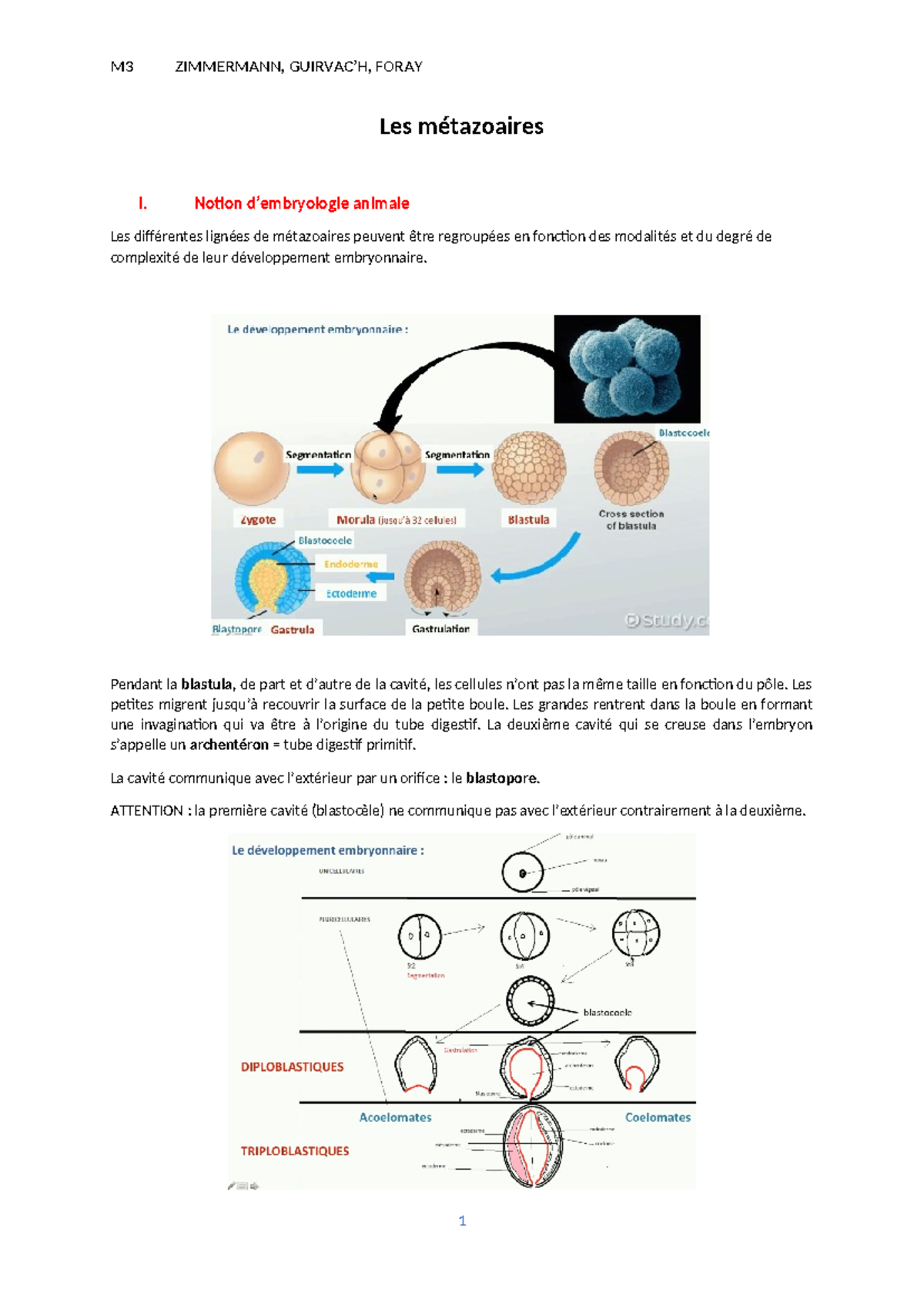 5- Les métazoaires - Les métazoaires I. Notion d’embryologie animale ...