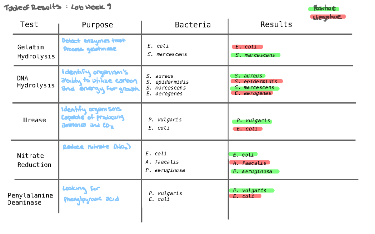 Micro Bio Lab Week 9 - Summary and Post Lab - Test Purpose Bacteria ...