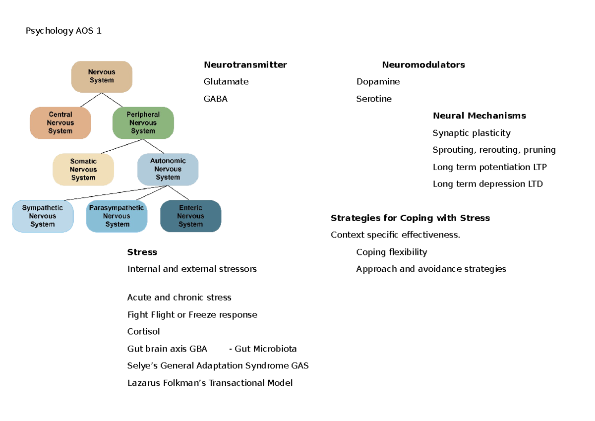 AOS 1 Poster - Psychology AOS 1 Neurotransmitter Neuromodulators ...