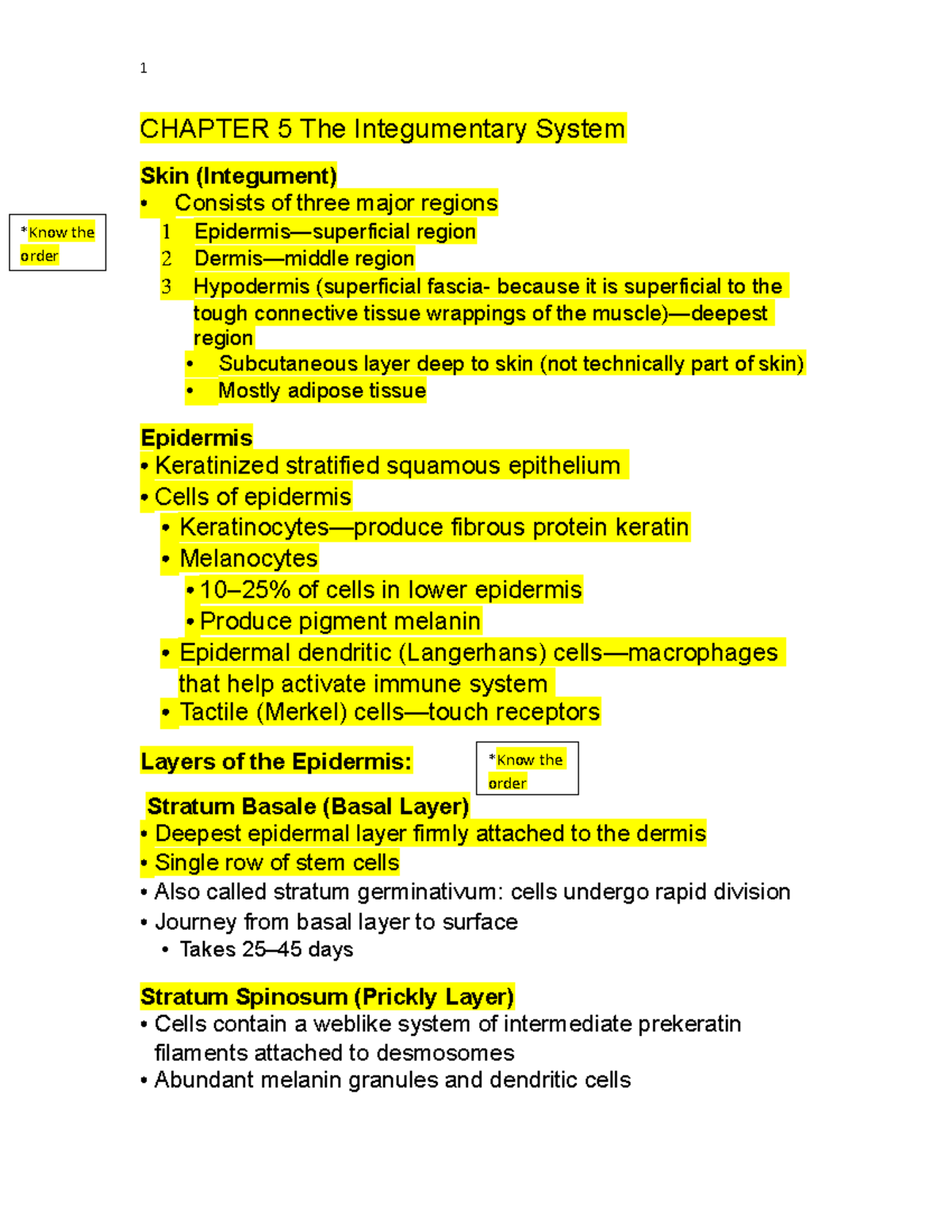 A&P I - Integumentary System - CHAPTER 5 The Integumentary System Skin ...