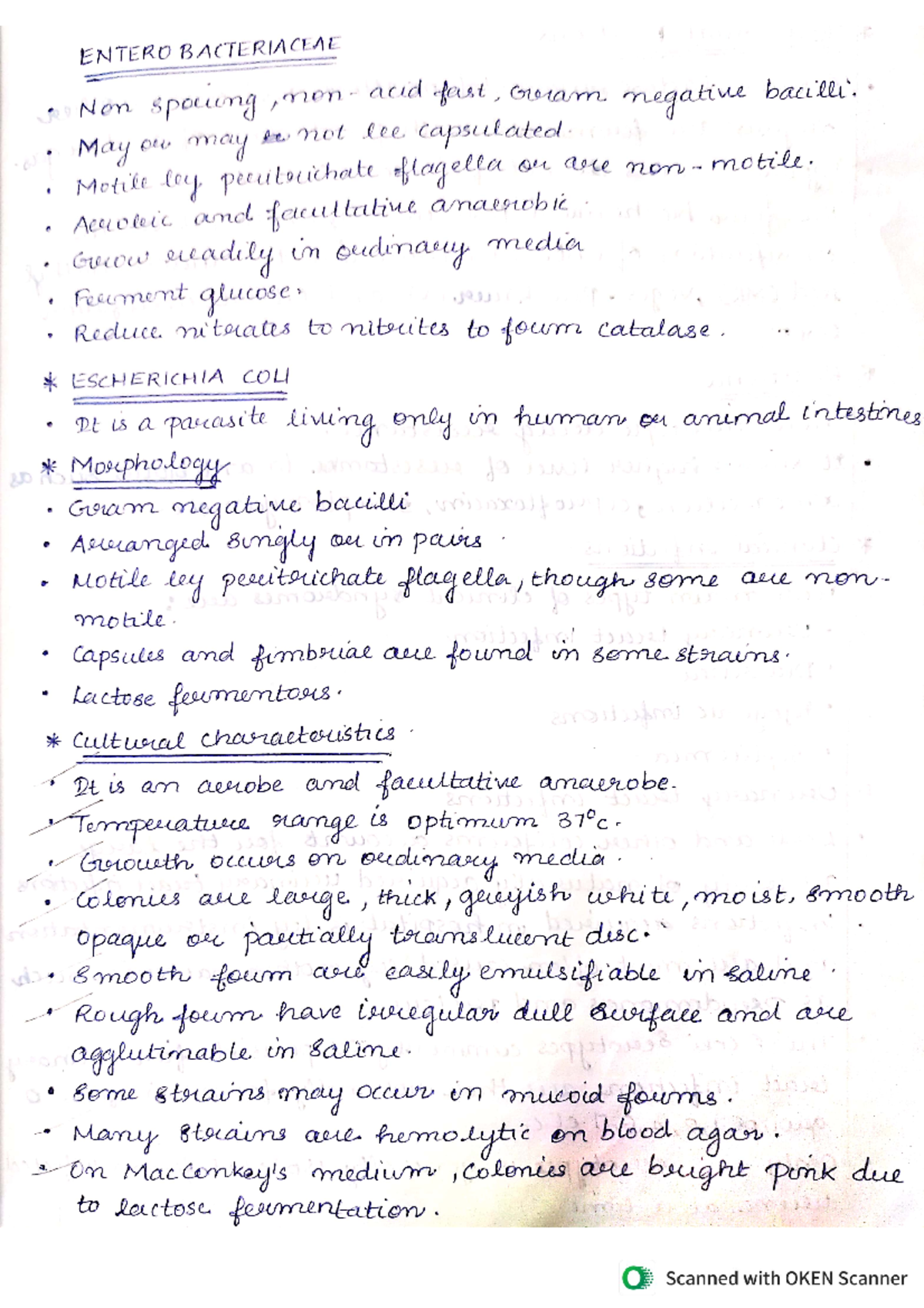 E.coli - Enterobacteriaciae - Microbiology - Studocu