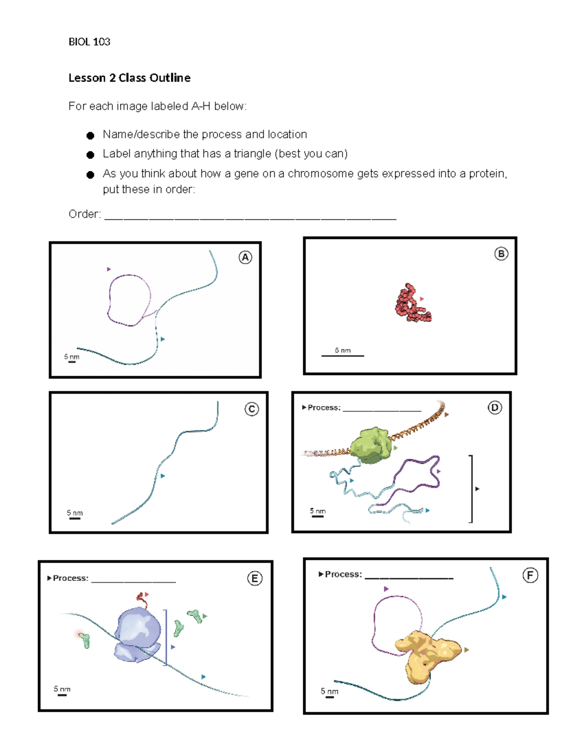 Lesson 2 Class Outline - Lesson 2 Class Outline For each image labeled ...
