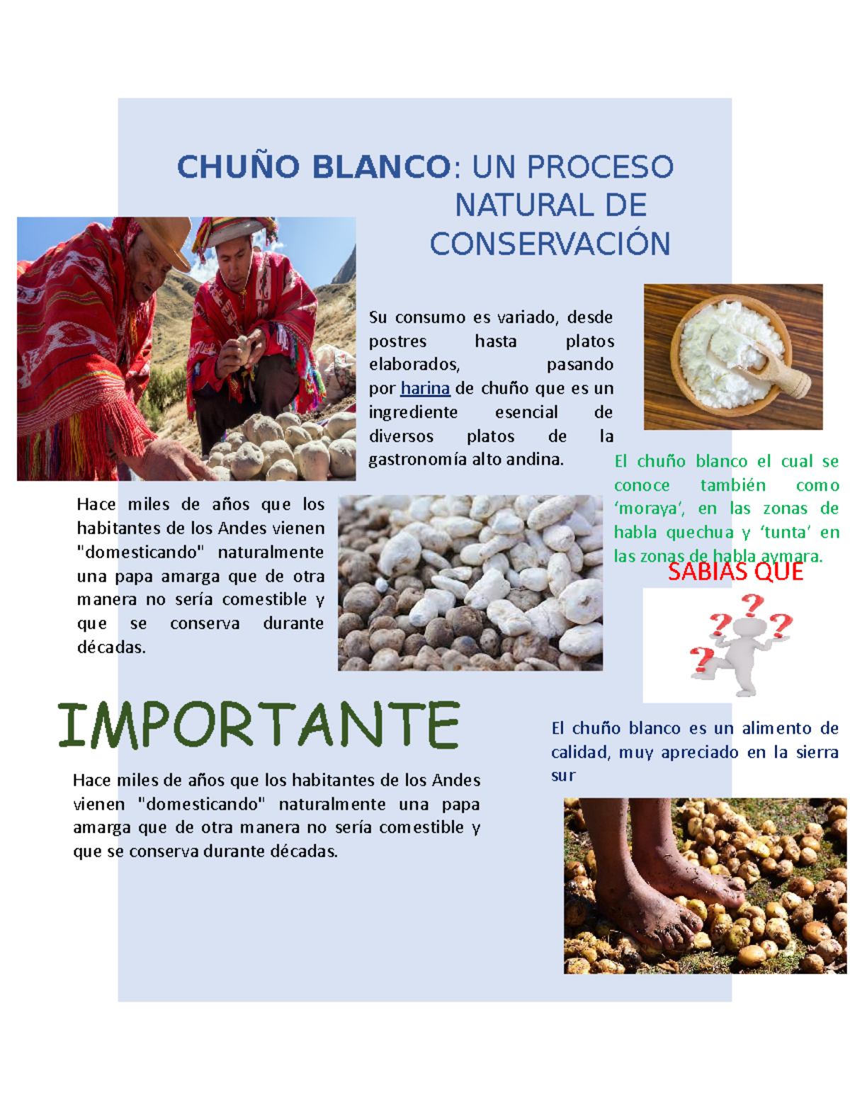 Chuño Blanco - CHUÑO BLANCO: UN PROCESO NATURAL DE CONSERVACIÓN El ...