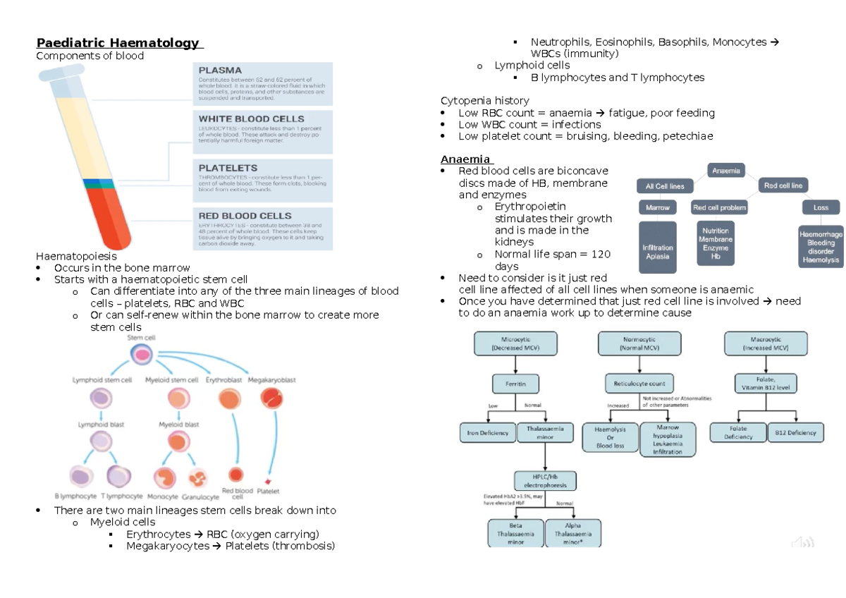 Paediatric Haematology - Paediatric Haematology Components of blood ...