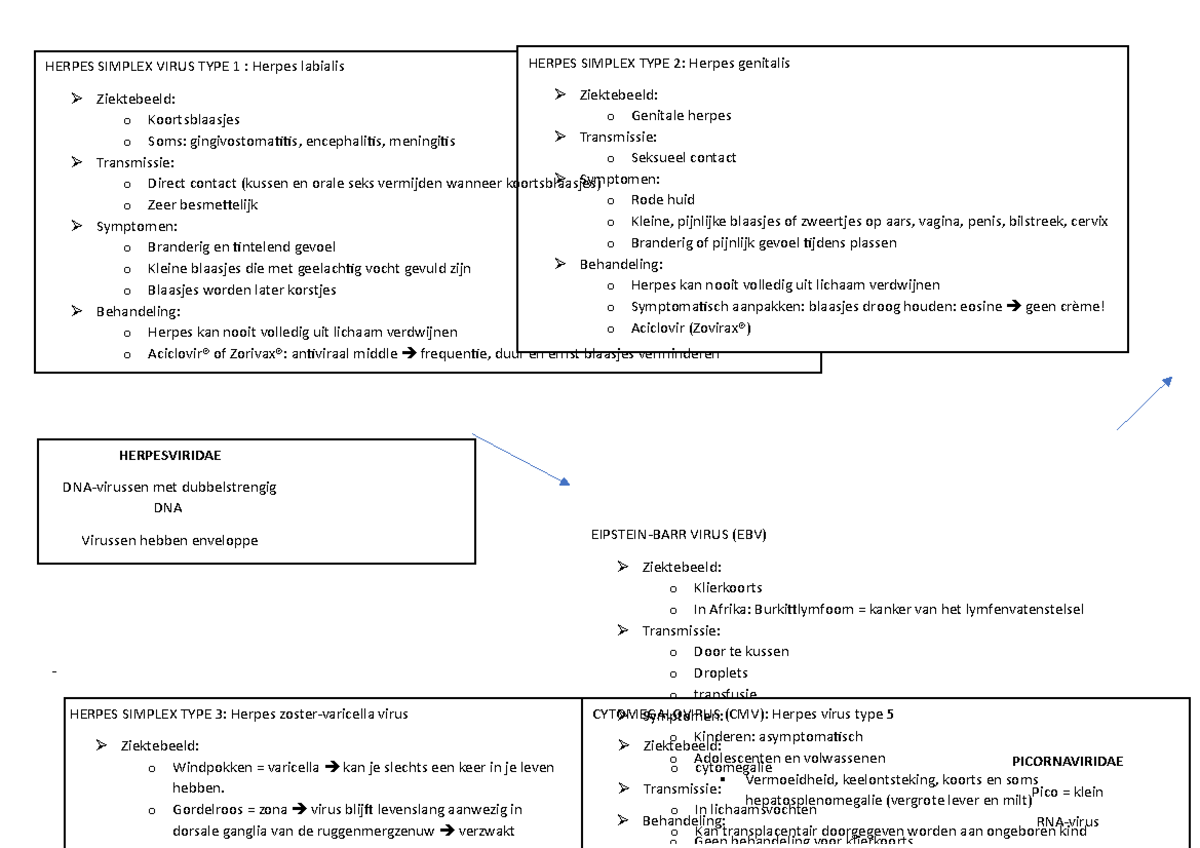 Mindmap virus - HERPES SIMPLEX VIRUS TYPE 1 : Herpes labialis Ziektebeeld: o Koortsblaasjes o ...