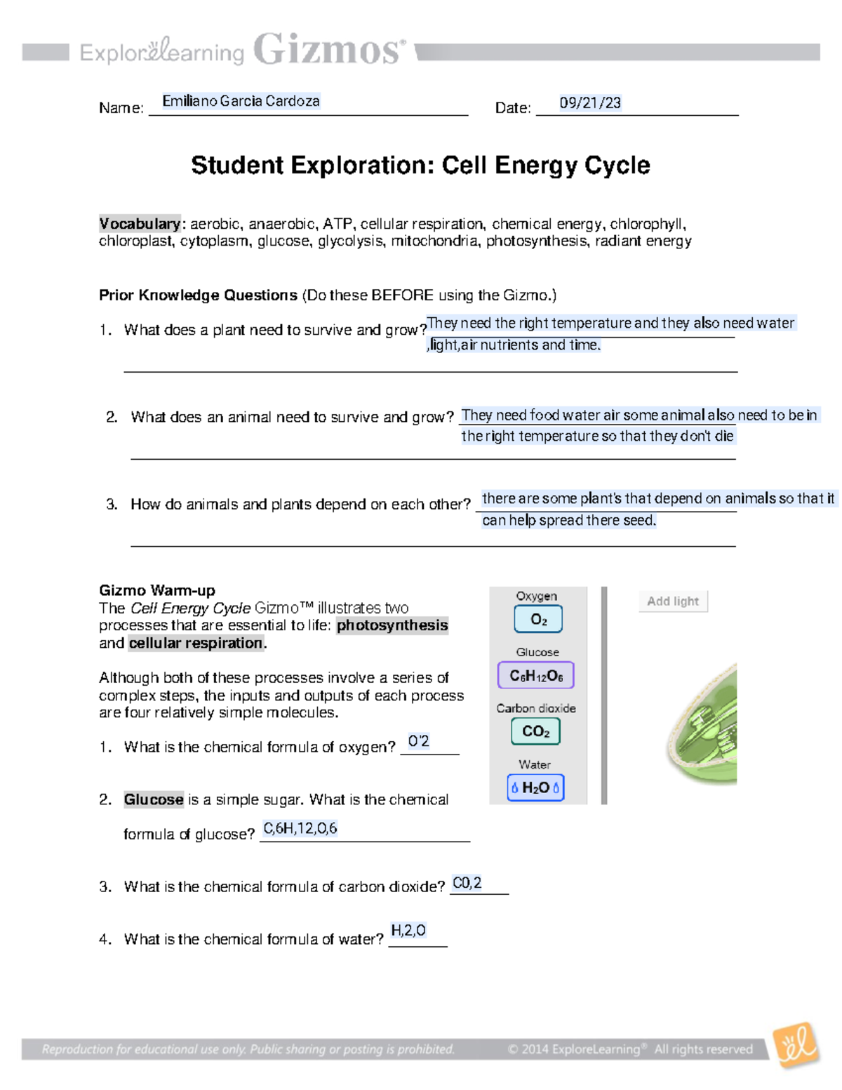 Kami Export - Emiliano Garcia Cardoza - Cell Energy SE - Name: - Studocu