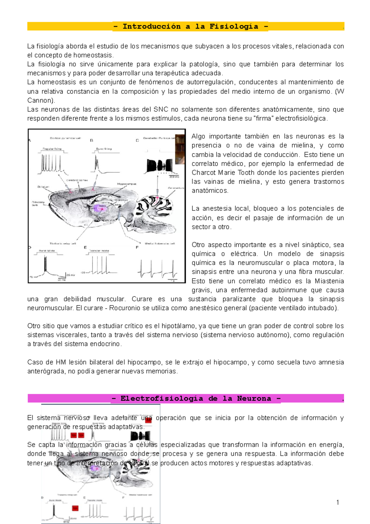 - Introducción a la Fisiología - La fisiología aborda el estudio de los ...