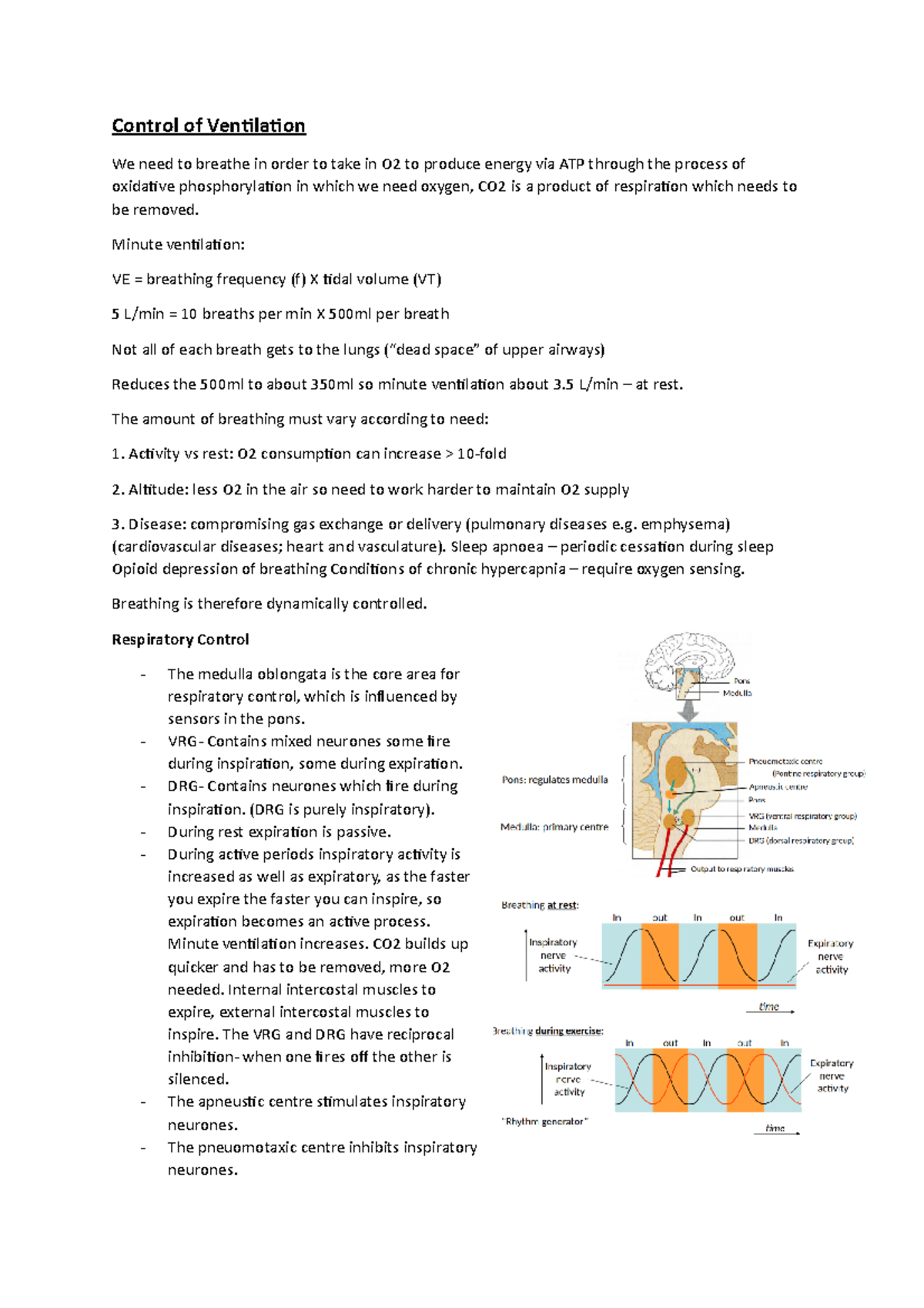 Control of Ventilation Lecture 7 - Control of Ventilation We need to ...