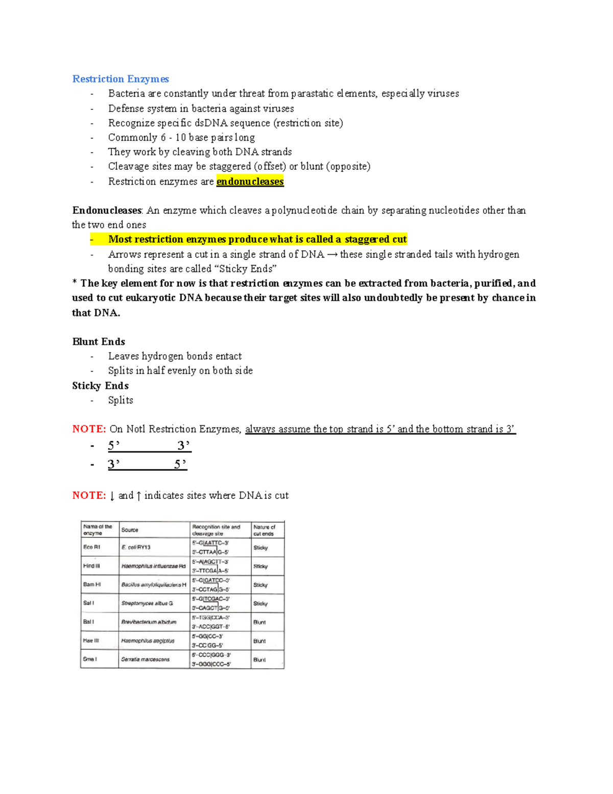 Restriction Enzymes - Lecture notes 15 - Restriction Enzymes - Bacteria ...