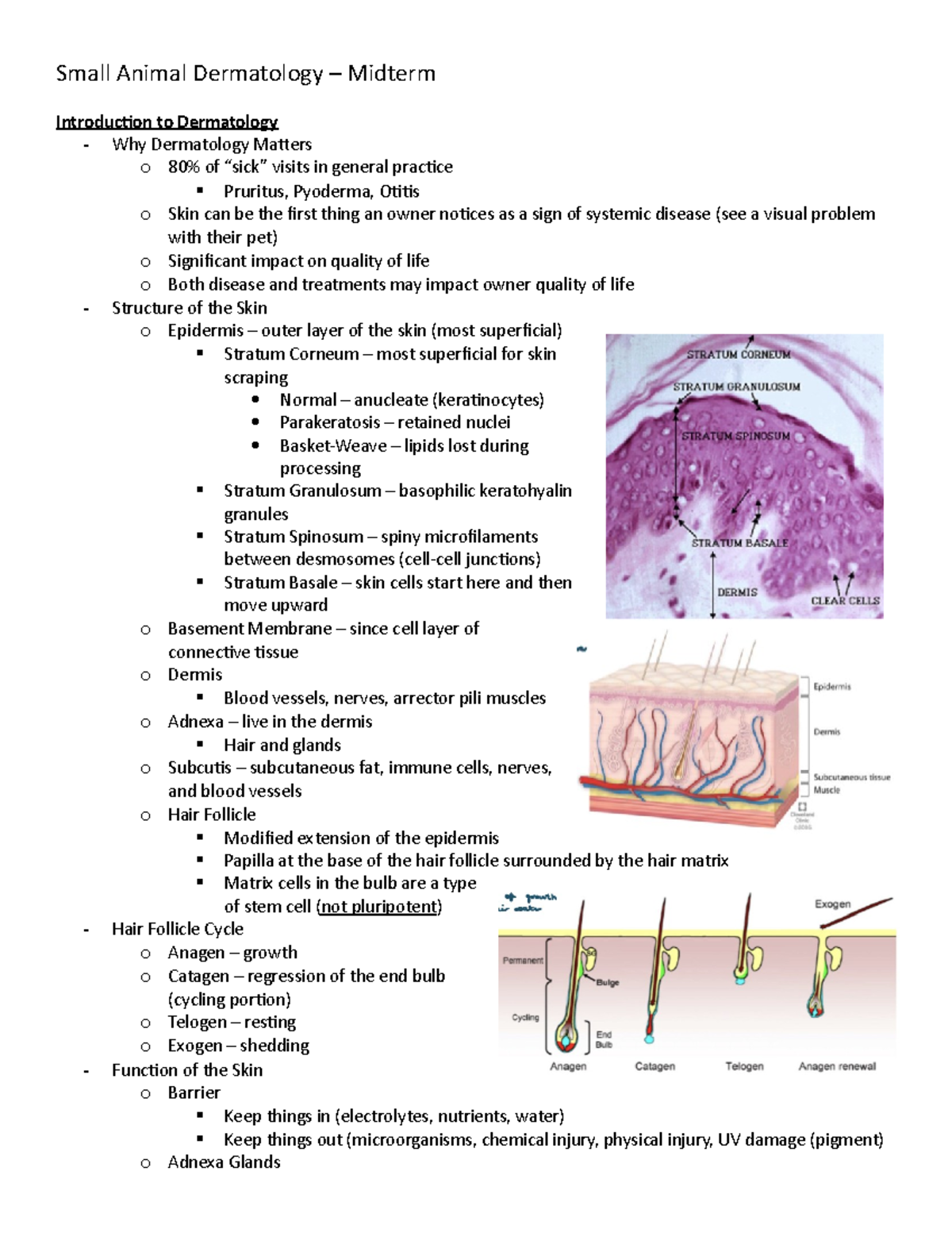 Small Animal Dermatology - Midterm - Small Animal Dermatology – Midterm ...