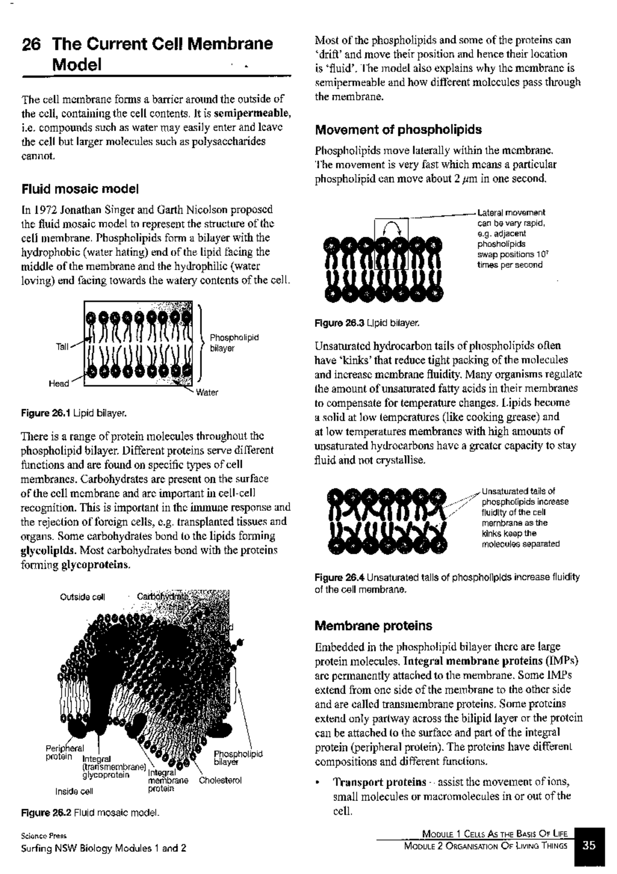 Cell Membrane Worksheet - Studocu