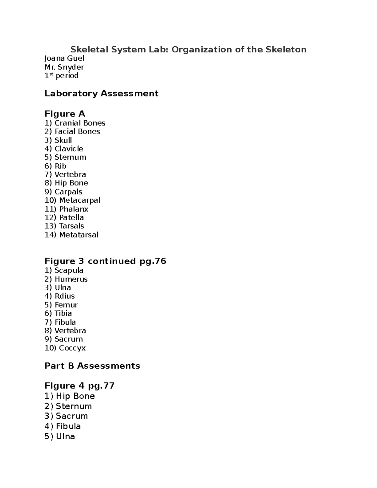 Skeletal+System+Lab - Lecture notes 3-5 - Skeletal System Lab ...