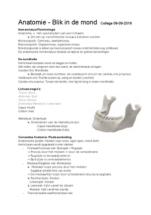 Anatomie Anatomie - Botten en schedel I - Anatomie – Botten en schedel ...