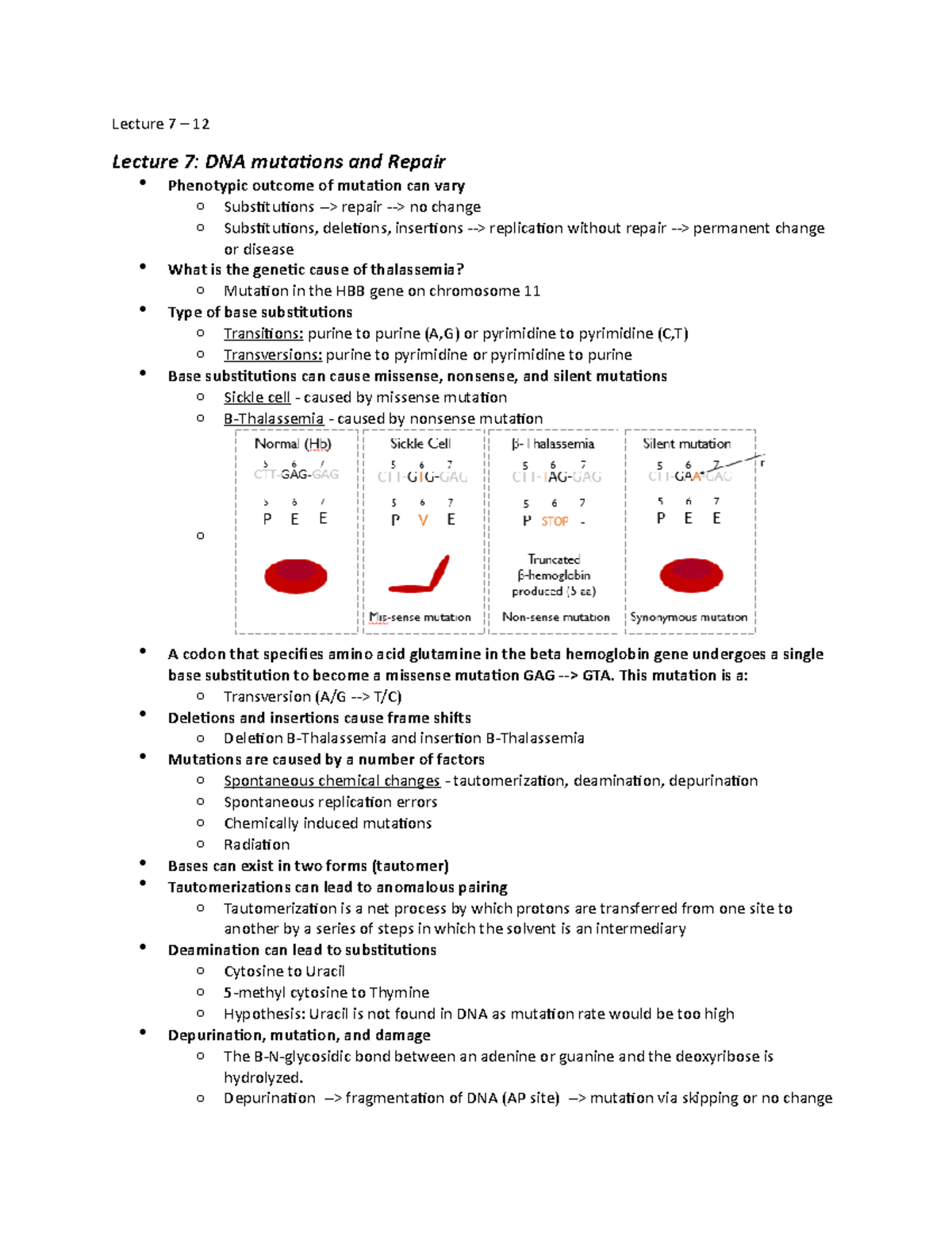 Lecture 7 - 12 - Lecture 7 – 12 Lecture 7: DNA mutations and Repair ...