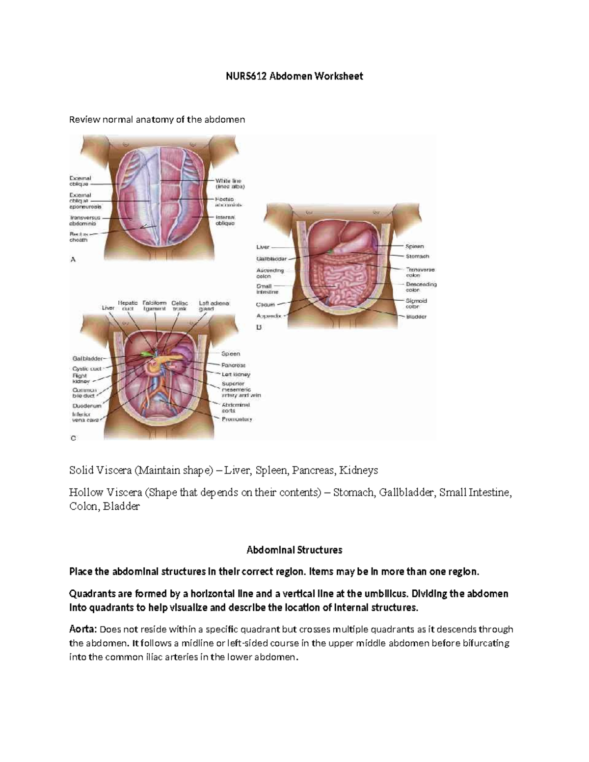 NURS612 GI worksheet - GI notes - NURS612 Abdomen Worksheet Review ...