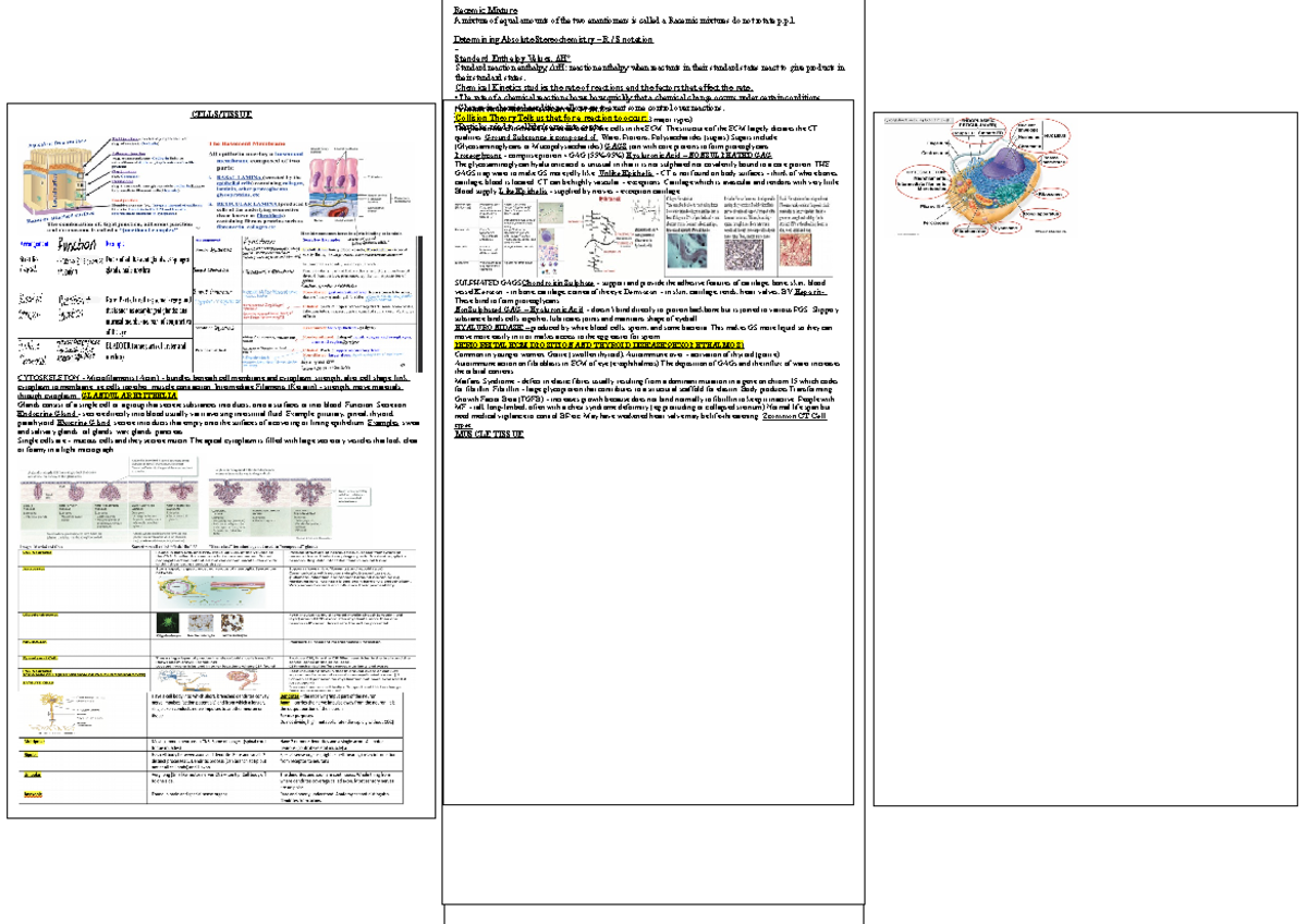 Cheat Sheet copy - CONNECTIVE TISSUE - CT=ECM + CELLS ECM is composed ...