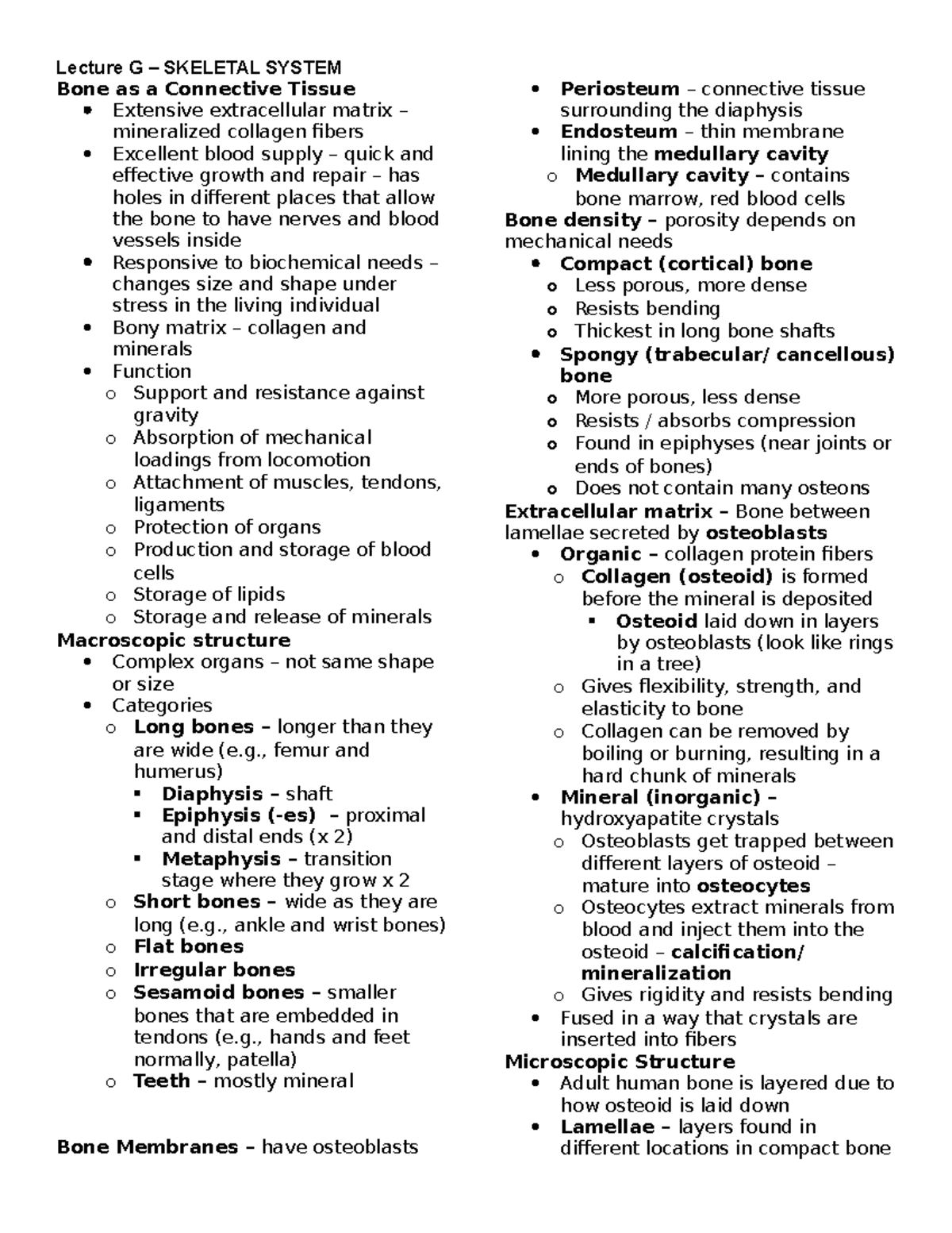 Skeletal system - Lecture G – SKELETAL SYSTEM Bone as a Connective ...