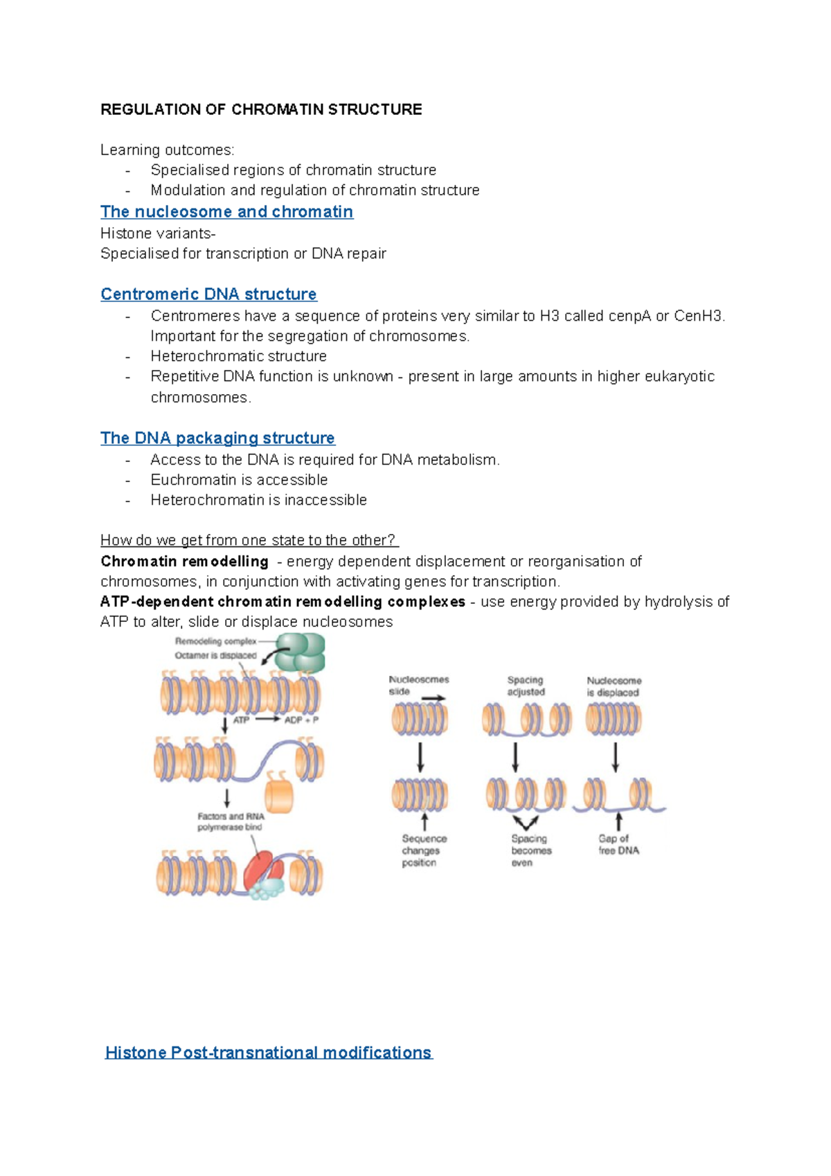 HMB - Lecture 3 - REGULATION OF CHROMATIN STRUCTURE - REGULATION OF ...