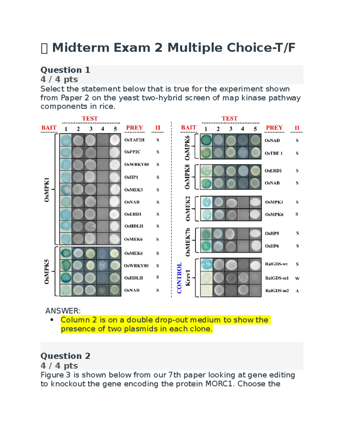 🔔 Midterm Exam 2 Multiple Choice - 🐀 Midterm Exam 2 Multiple Choice-T/F ...