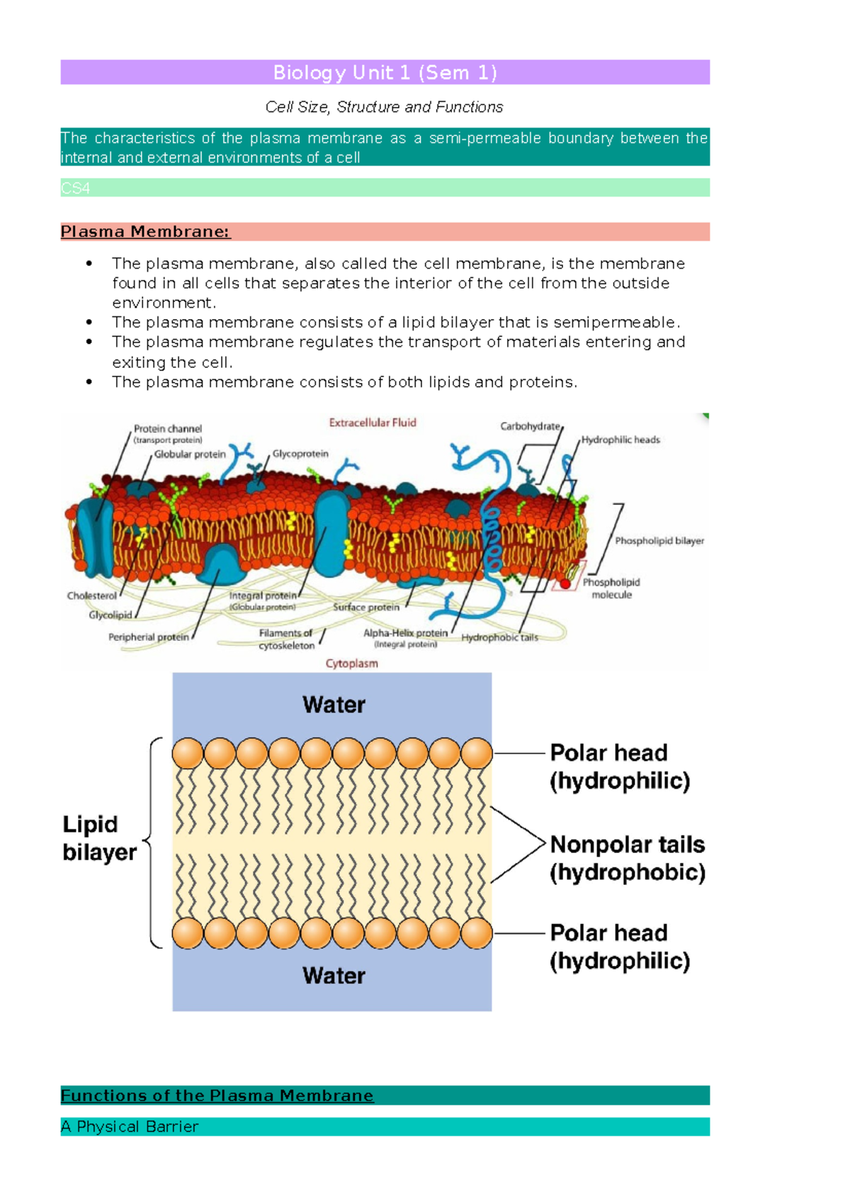 CS4 Plasma Membrane - Biology Unit 1 (Sem 1) Cell Size, Structure and ...