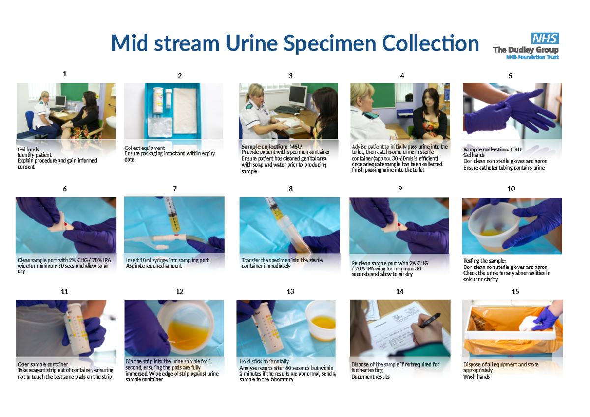 Urinanalysis Oct20 - Medical practices - Mid stream Urine Specimen ...