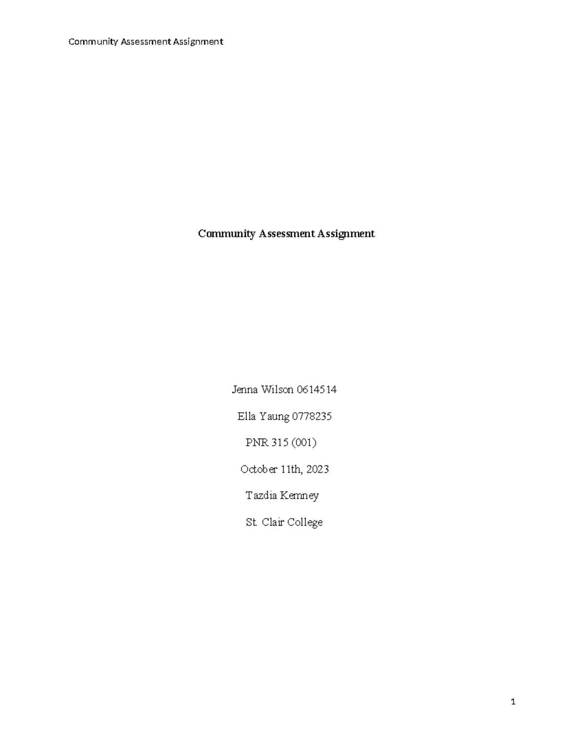 Community Assessment Assignment Final - Community Assessment Assignment ...