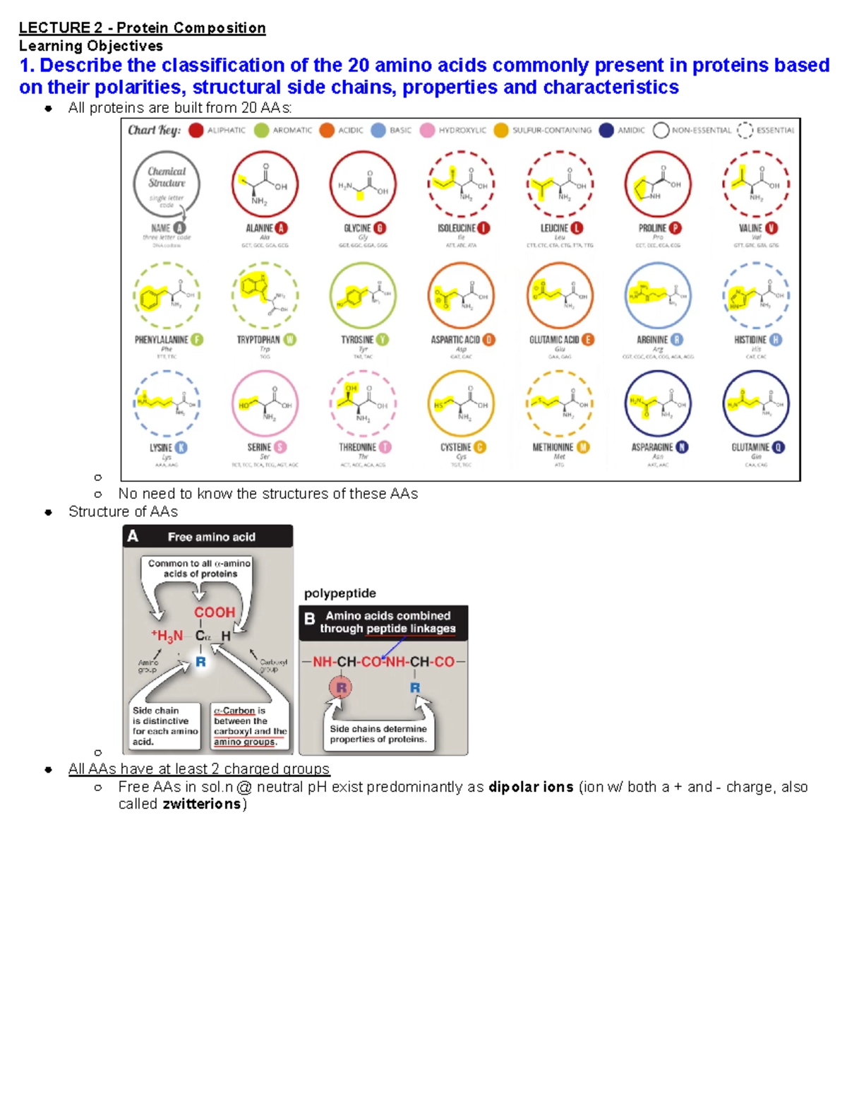 Lecture 2 - Protein Composition - LECTURE 2 - Protein Composition ...