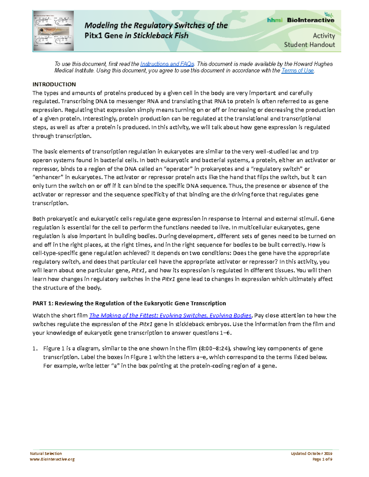 Modeling Regulatory Switches in Stickleback Fish Student Handout - To ...