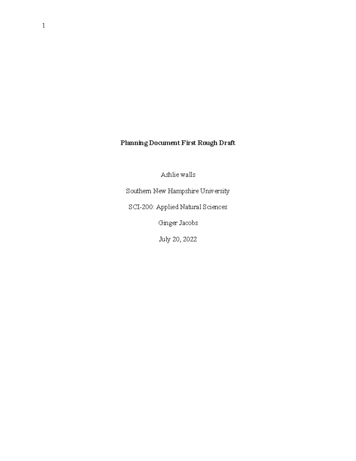 Planning Document First Rough Draft 2 - Planning Document First Rough ...