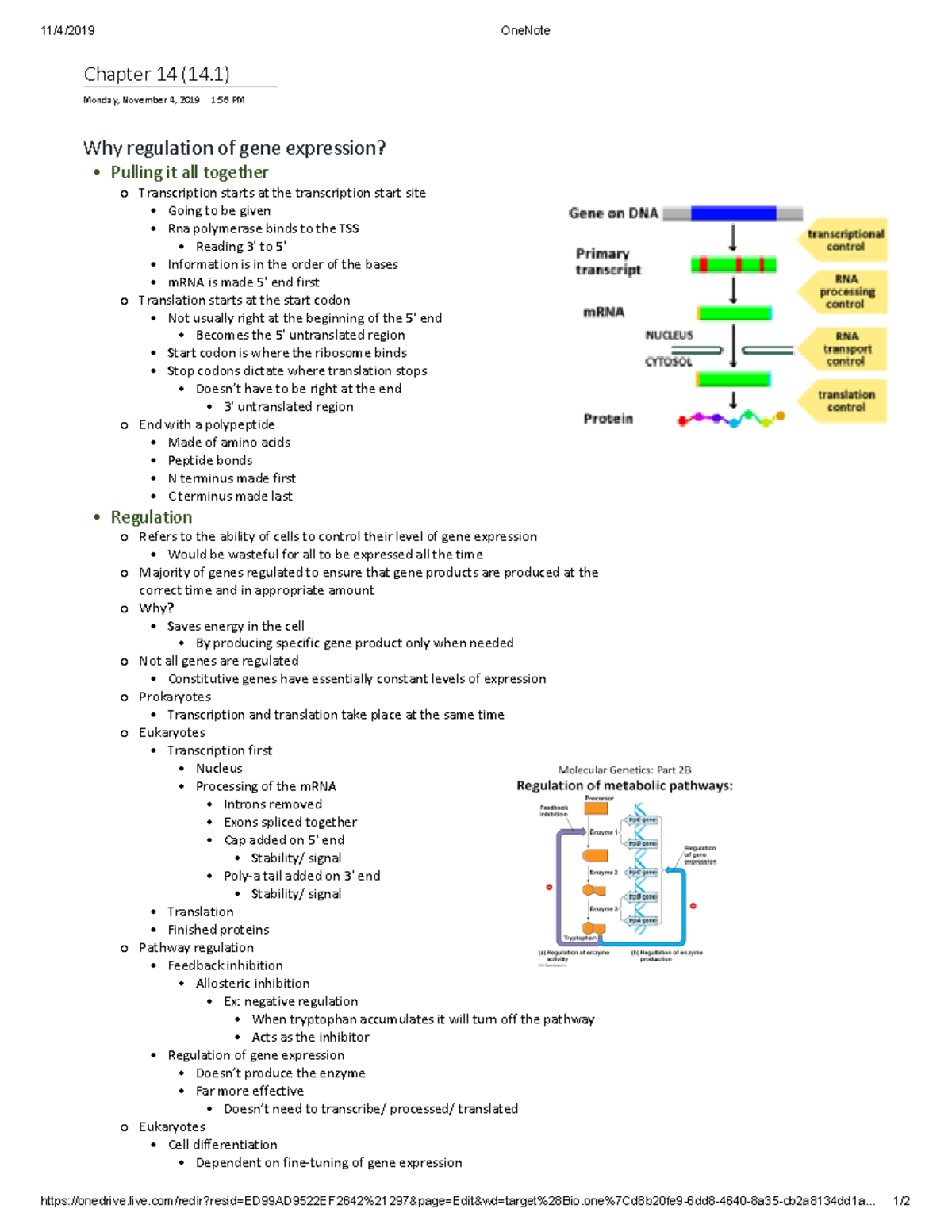 Chapter 14 Section 1 - Warning: TT: undefined function: 32 11/4/2019 ...