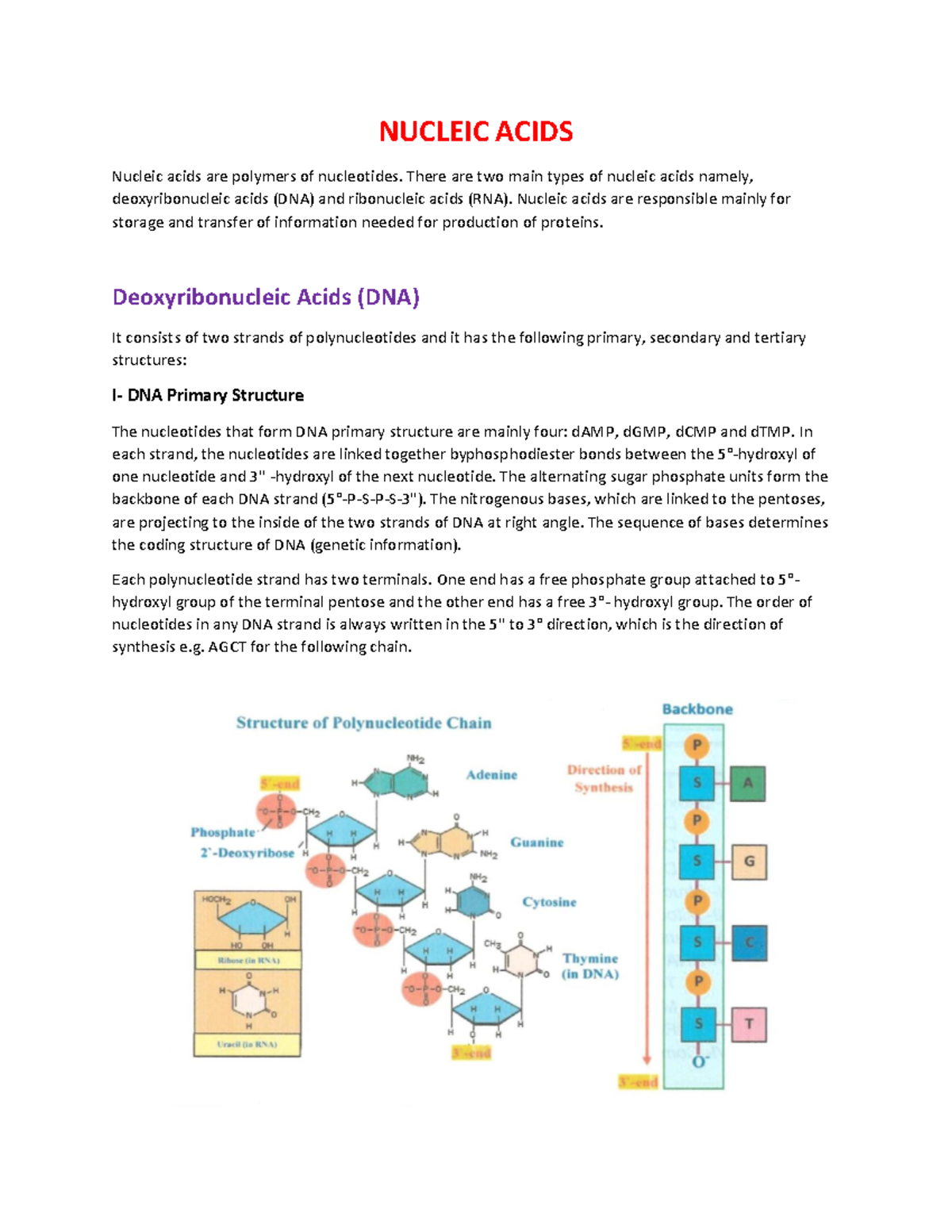 Nucleic Acids - metabolism and excretion of neucleic acid - NUCLEIC ...