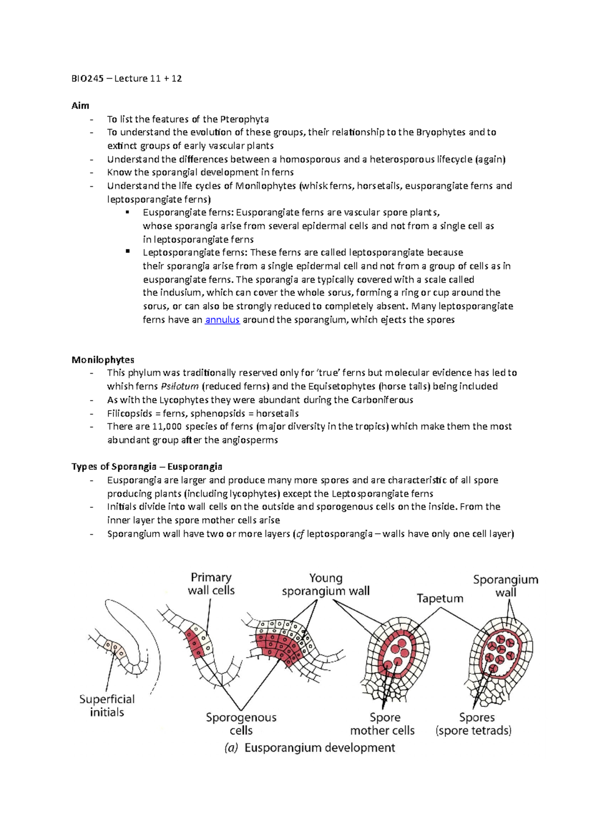 BIO245 – Lecture 11 + 12 - BIO245 – Lecture 11 + 12 Aim - To list the features of the Pterophyta ...