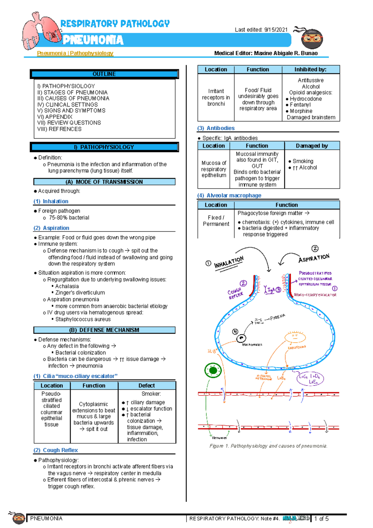Pneumonia Pathophysiology atf - PNEUMONIA RESPIRATORY PATHOLOGY: Note ...