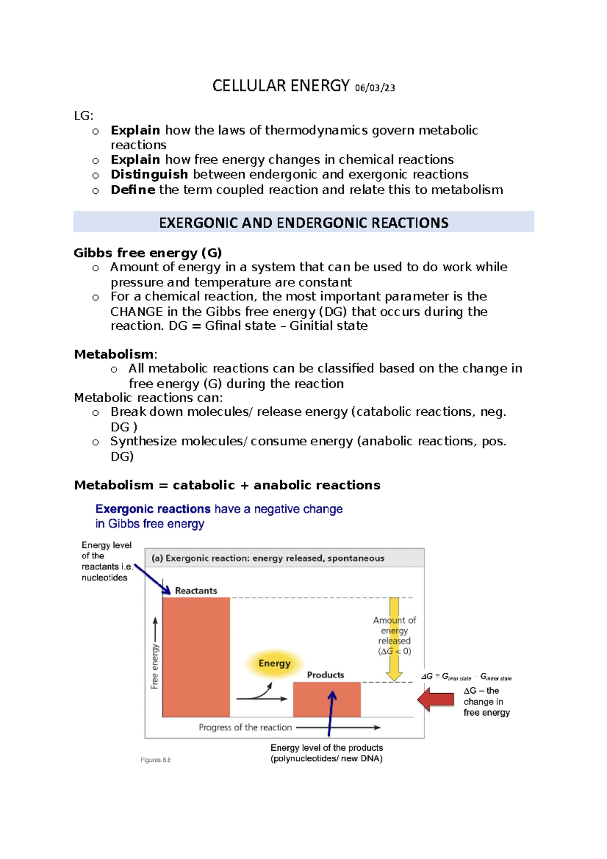 LEC 3- Cellular energy - lecture notes week 3 - CELLULAR ENERGY 06/03 ...