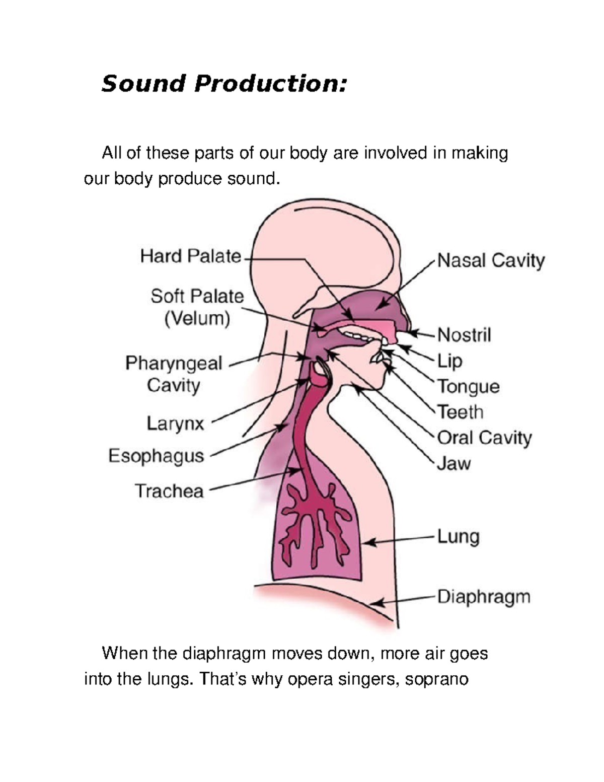 Sound production - Albina - Sound Production: All of these parts of our ...