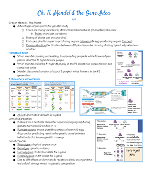Ch. 4/32.1 A Tour of the Cell The Internal Environment of Animals - Ch ...