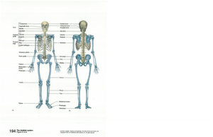 Anatomy - This paper is on the dissection of animals. - Writing ...