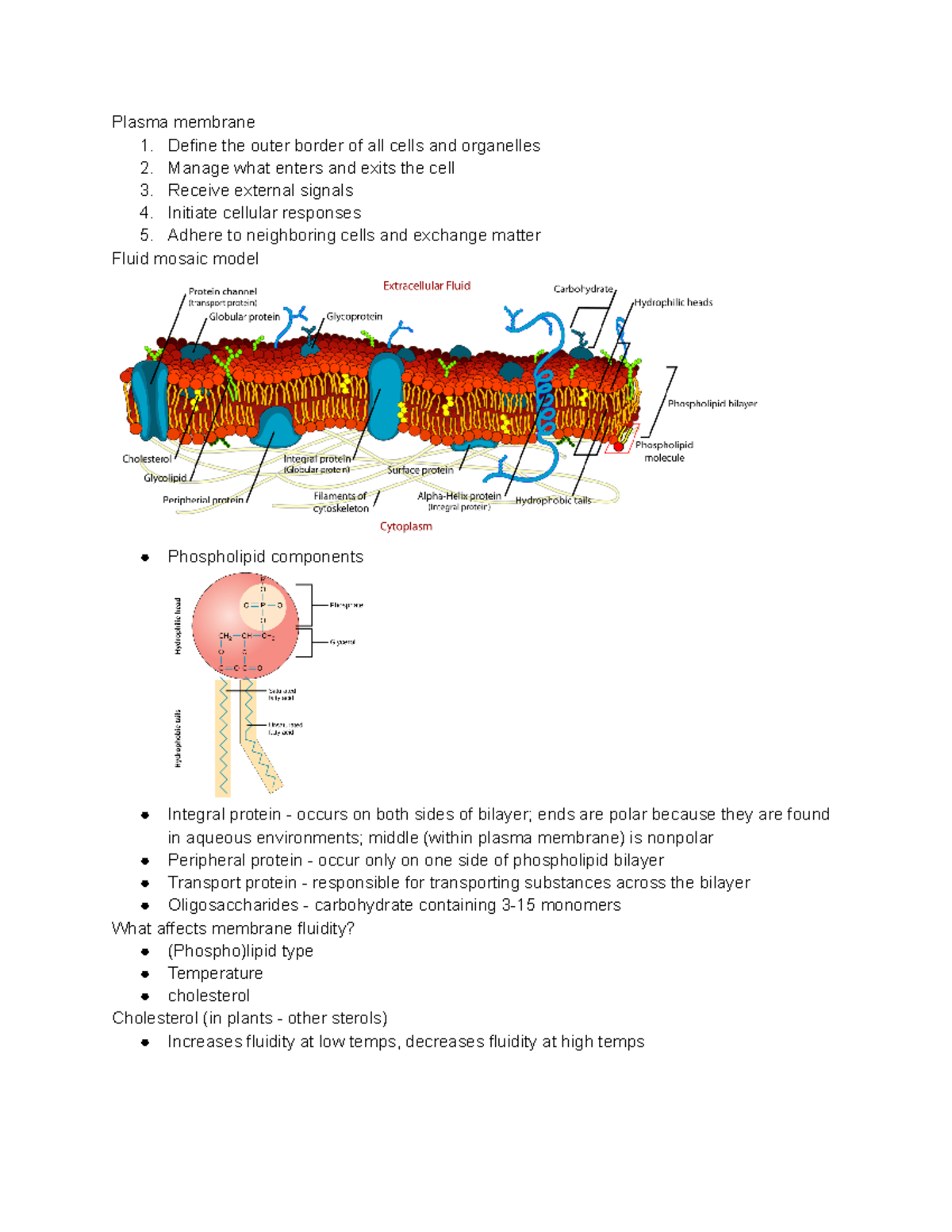 Bio week 5 - Bio 151, week 5 notes - Plasma membrane 1. Define the ...