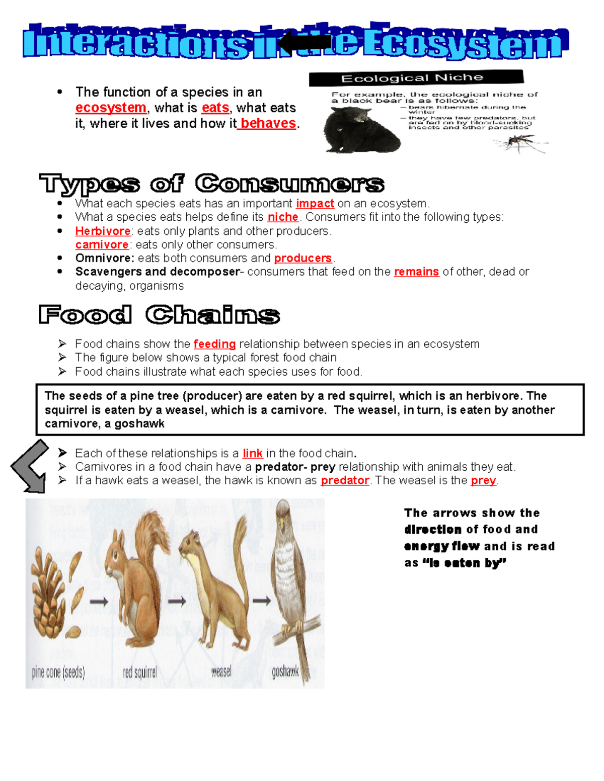 Interactions in ecosystems 1 Dfilled NOTE 2022filled - The function of ...