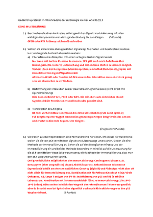 In Vitro Modelle der Zellbiologie Alle Klausuren beantwortet (ohne ...