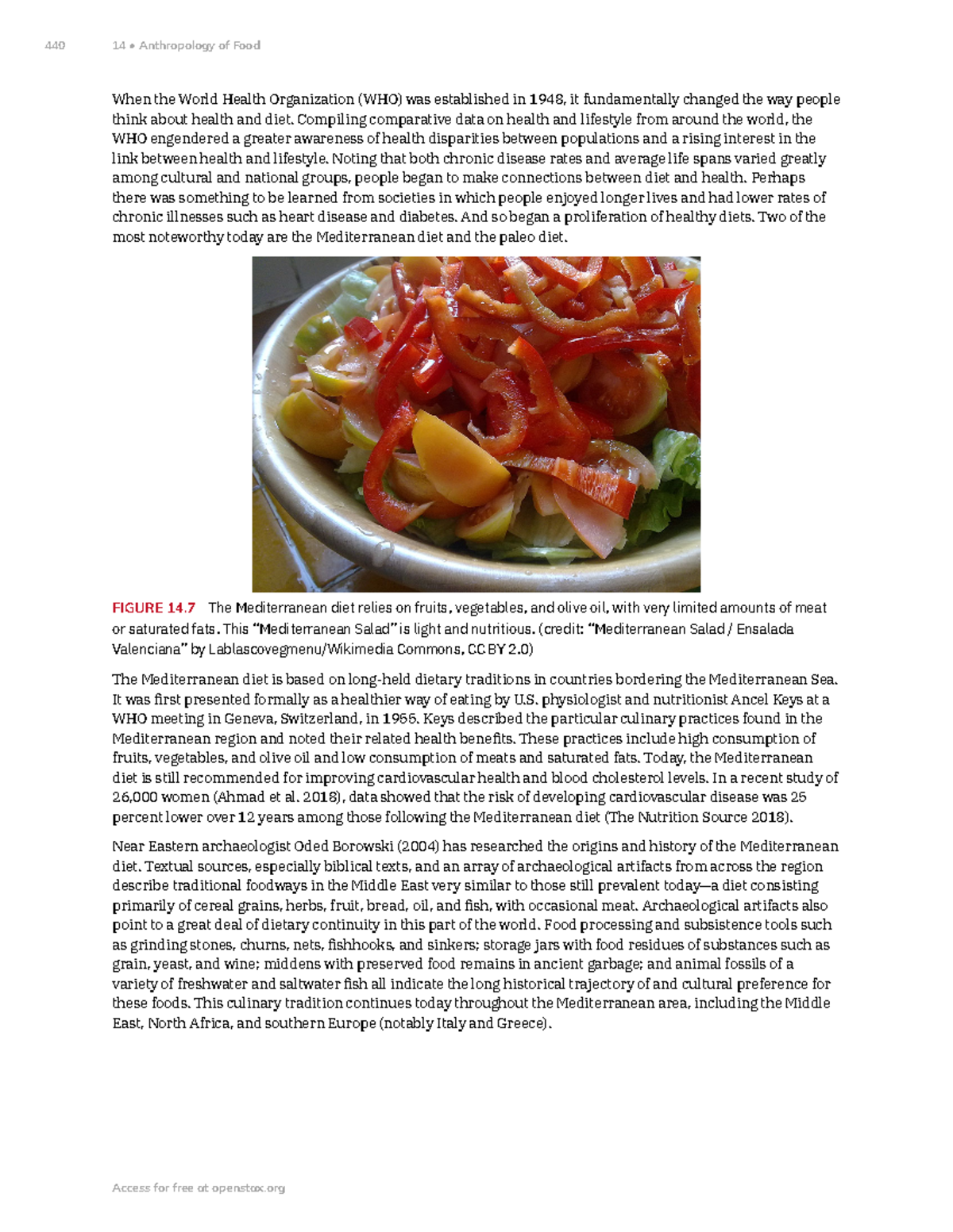 Chapter 14 Anthropology of Food Part 4 - When the World Health ...