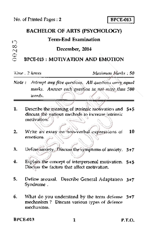 NEO PI-3 Interp Rpt Sample Report - NEO ™ Personality Inventory ...