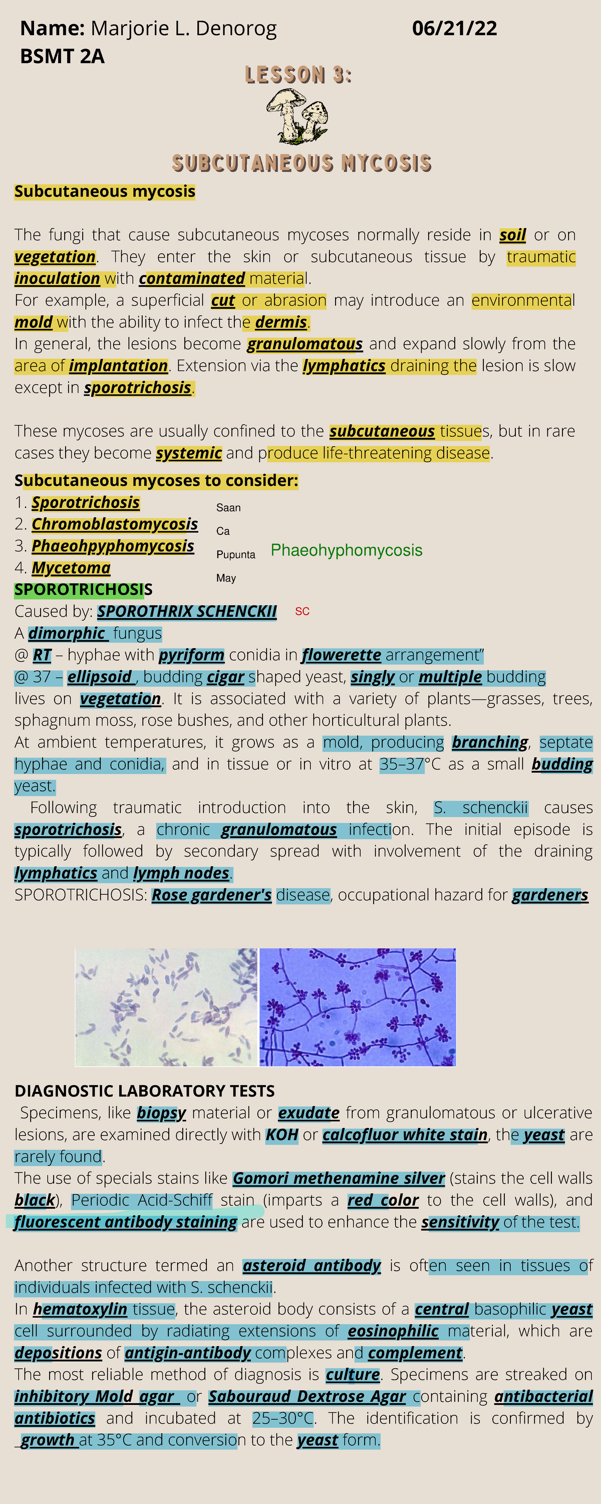 Lesson 3 Subcutaneous Mycosis- Denorog , Marjorie BSMT 2A ...