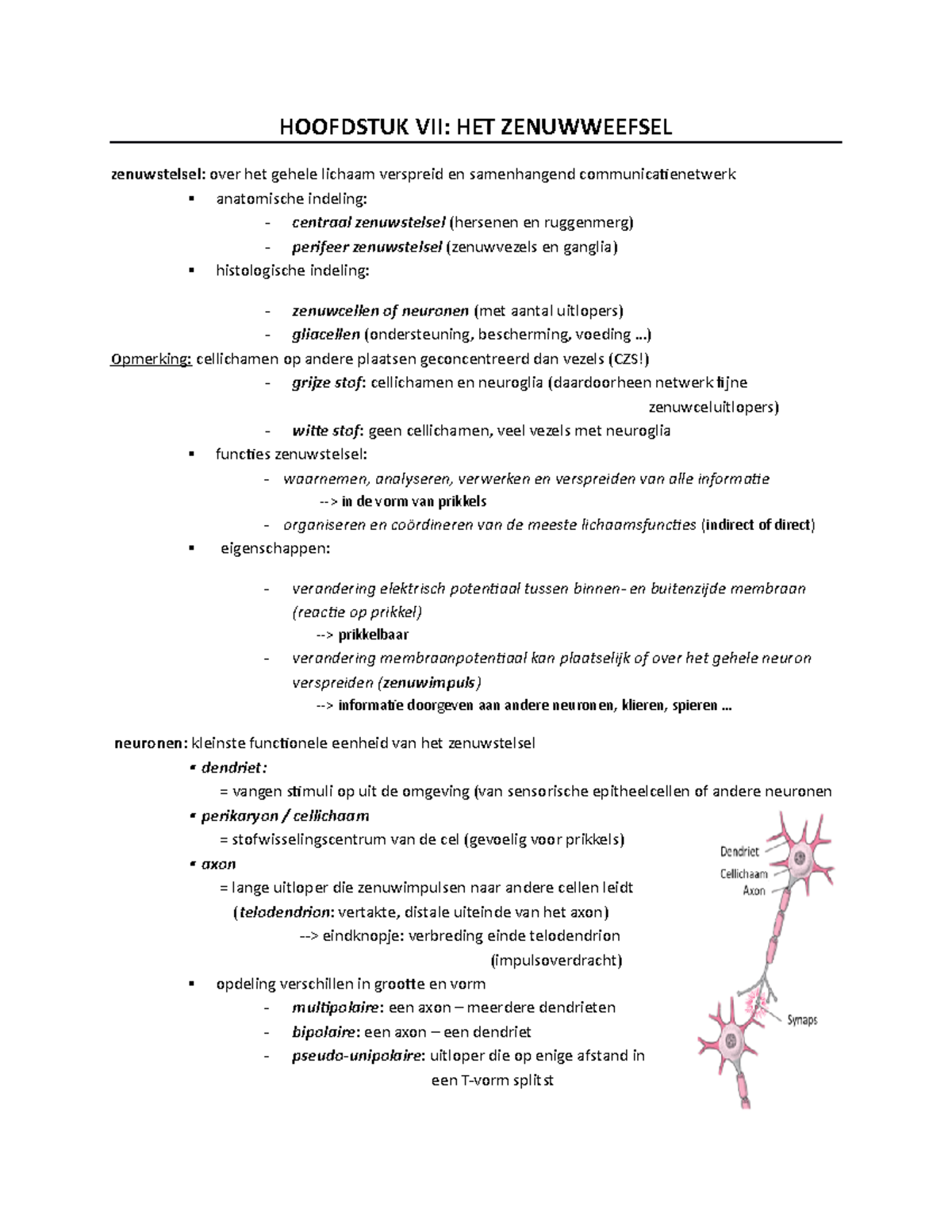 Hoofdstuk 7: zenuwweefsel (samenvatting) - HOOFDSTUK VII: HET ...