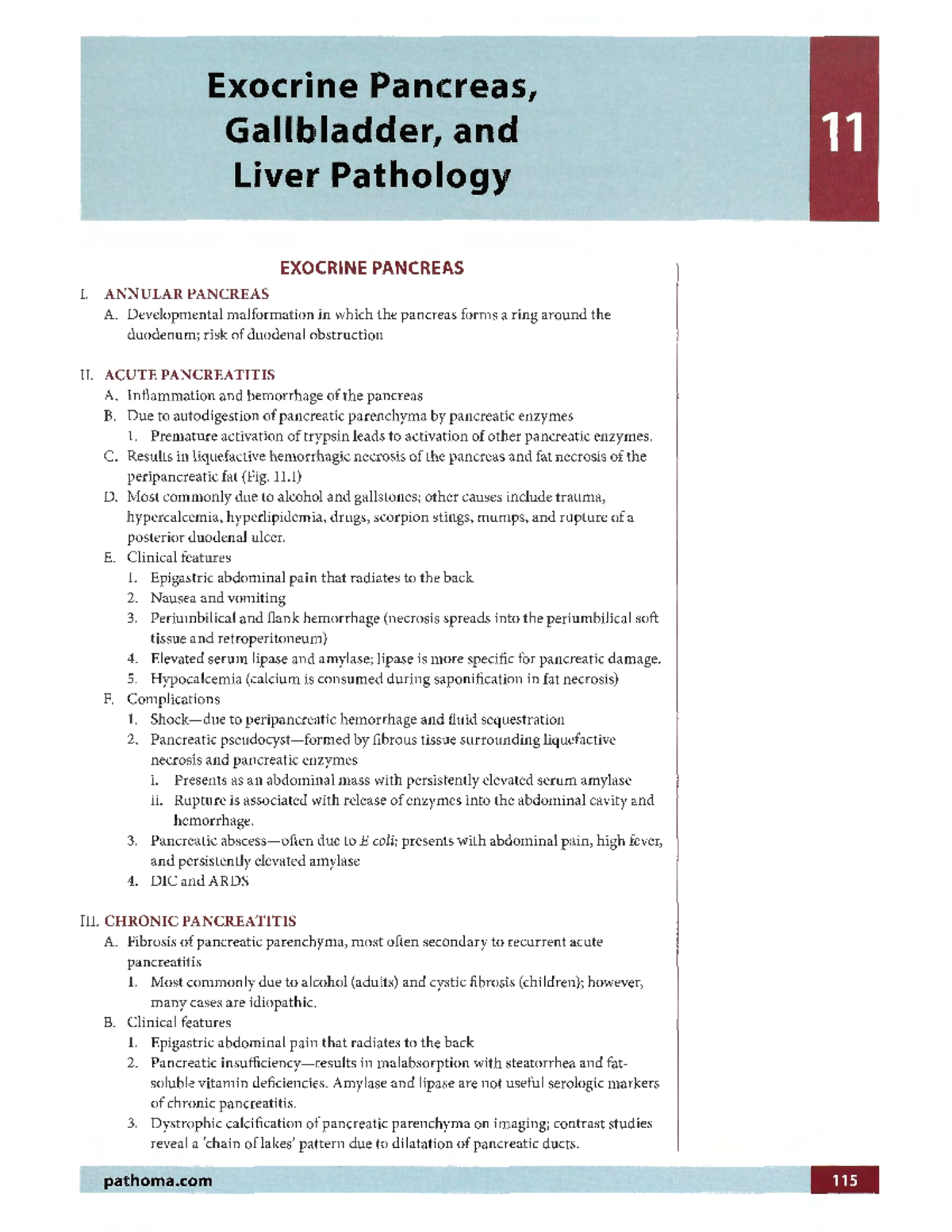 Exocrine Pancreas, Gallbladder, and Liver Pathology - Exocrine Pancreas ...
