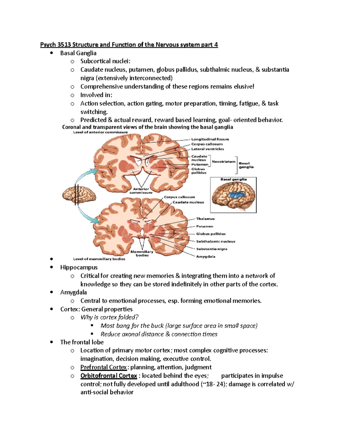 Psych 3513 Structure and Function of the Nervous system part 4 - o ...