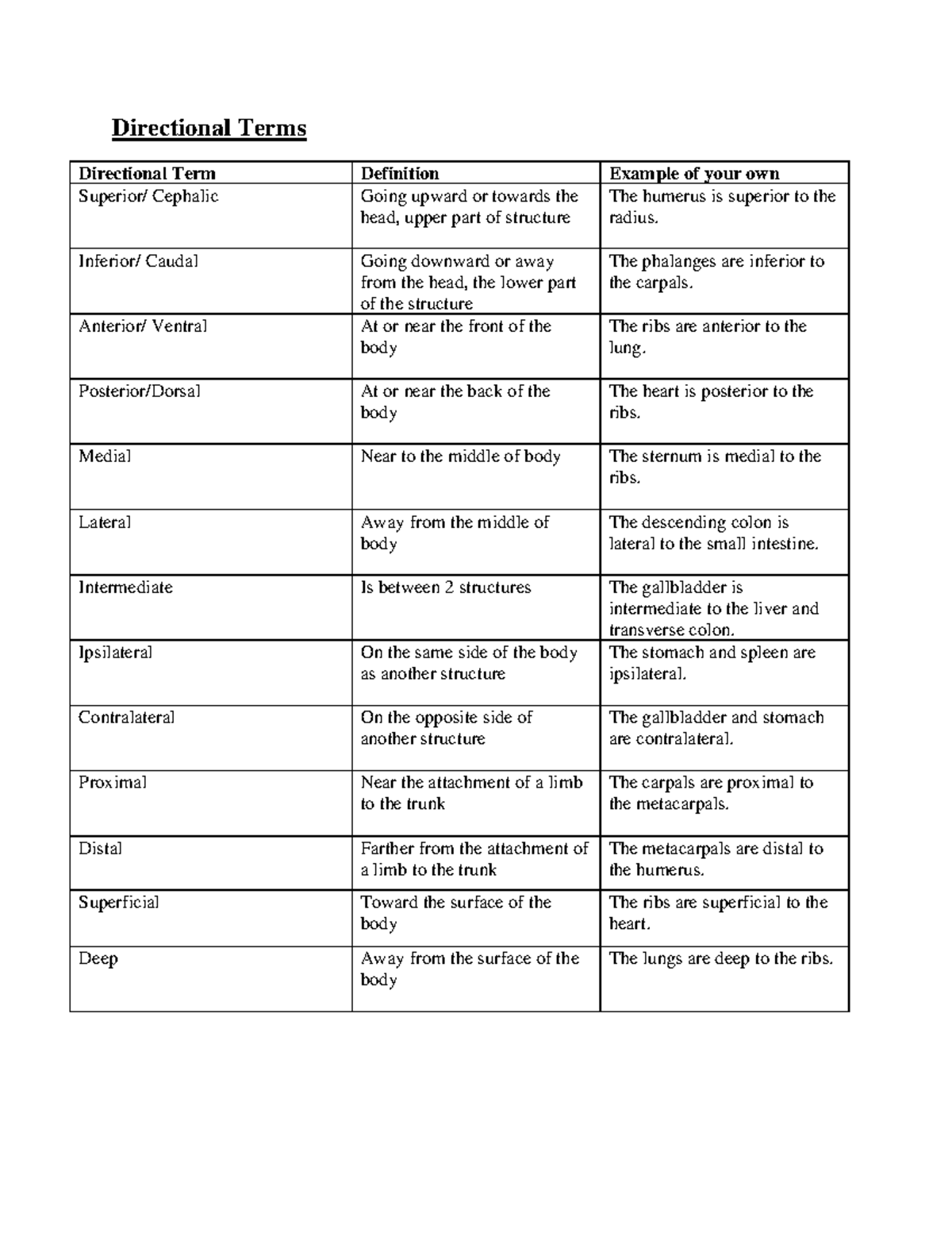 BIO 231 Directional Terms - Warning: TT: undefined function: 32 ...