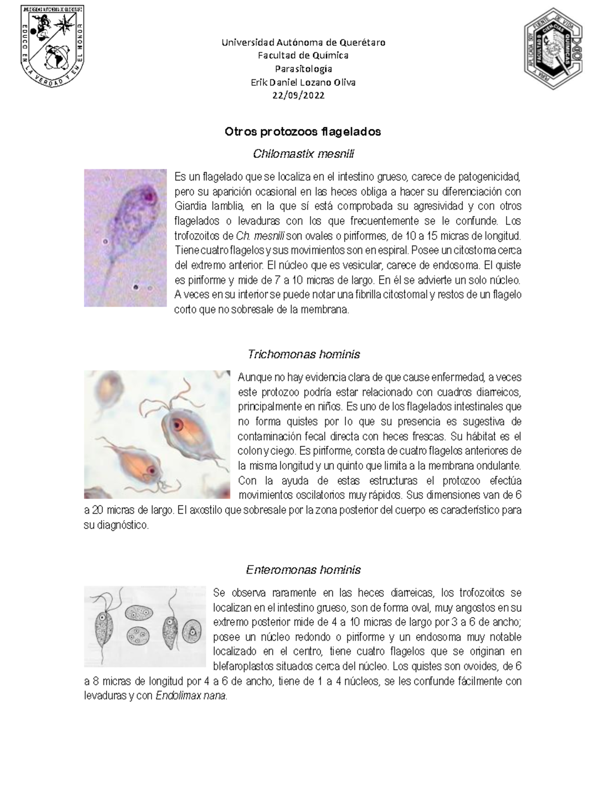 Otros prootozos flagelados - Universidad AutÛnoma de QuerÈtaro Facultad ...