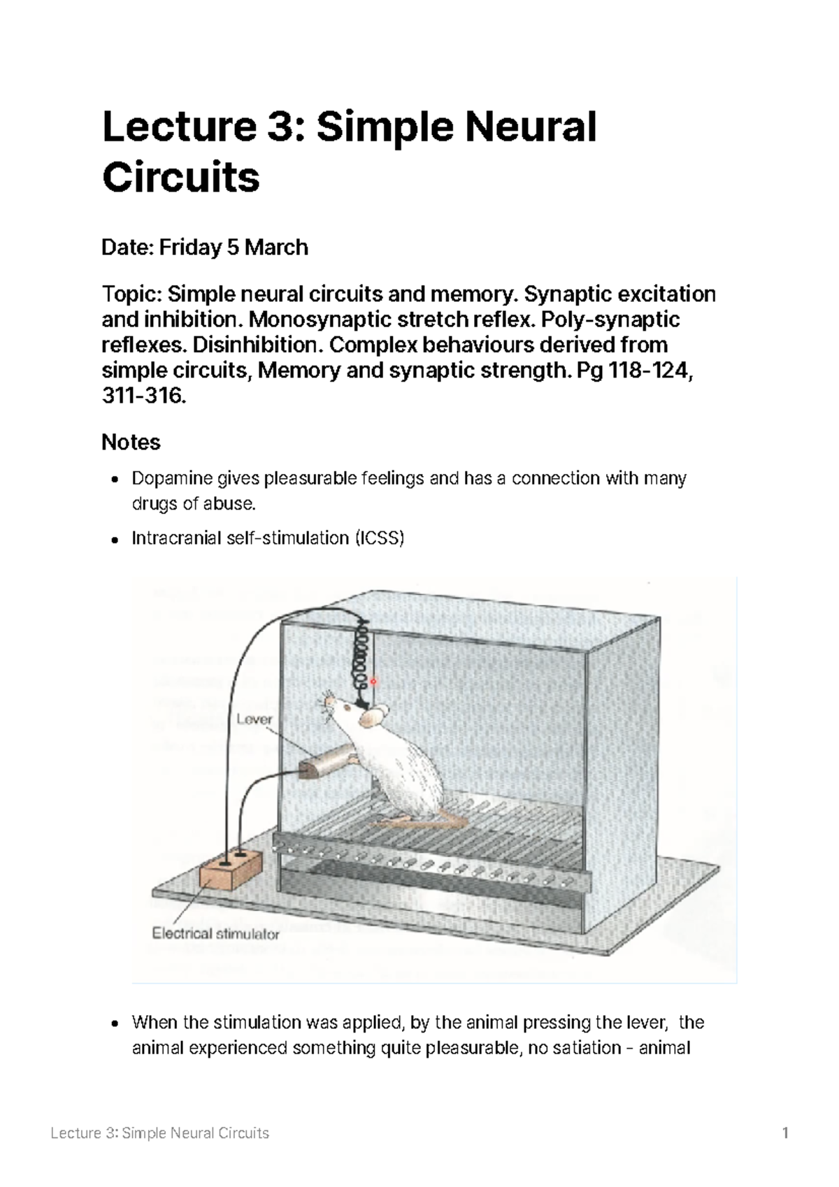 Lecture 3 Simple Neural Circuits Lecture 3 Simple Neural Circuits